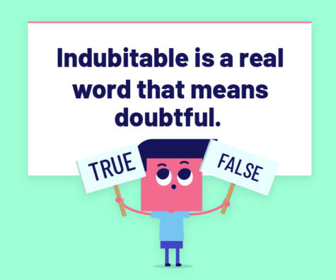 Indubitably Definition and How to Look Smart Using it – INK Blog