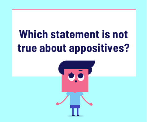 What Is an Appositive? Definition and Usage Guide – INK Blog