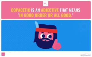 Copacetic: Definition and How to use it in a Sentence – INK Blog