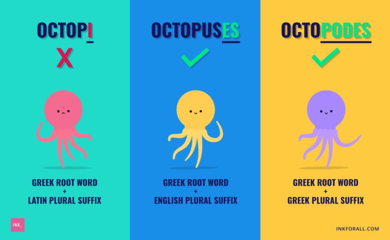 Octopi or Octopuses? Here's the Correct Octopus Plural – INK Blog
